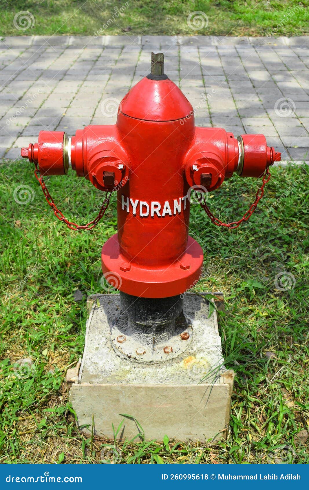 Bright Red Isolated Fire Hydrant Being Stock Photo - Image of hose, background: 260995618