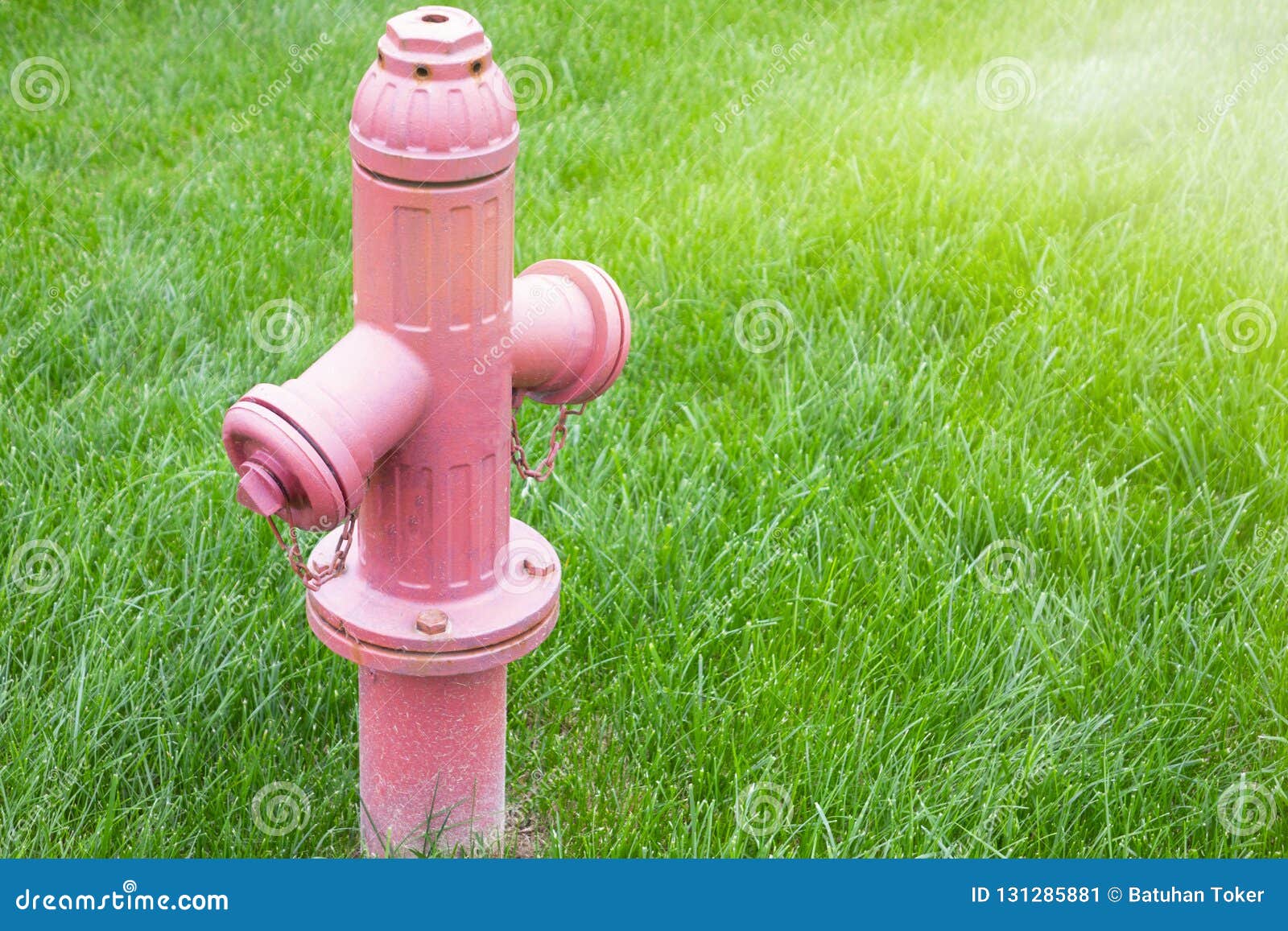 Bright Red Isolated Fire Hydrant Sits in a Freshly Stock Image - Image ...