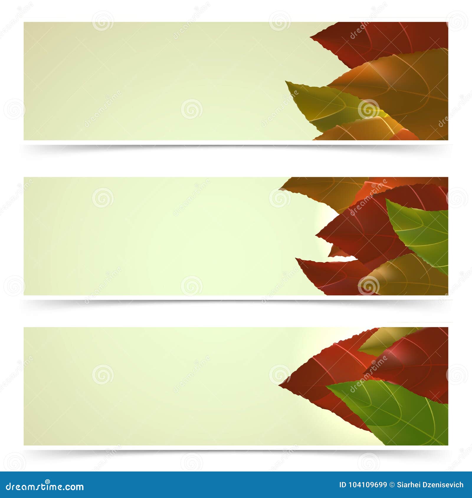 Bright Red Orange Green Autumn Leaves Web Header Collection Stock ...