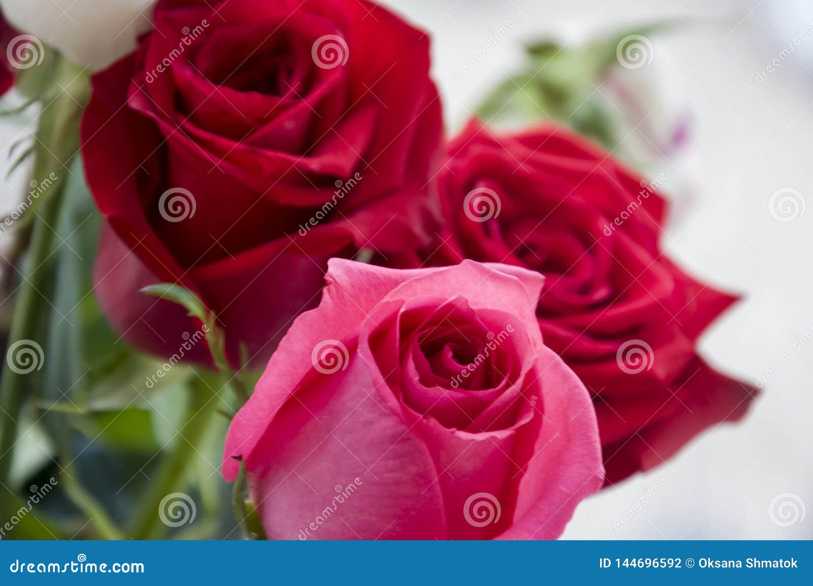 Bright Red, Orange, Pink and White Roses in the Bouquet Stock Photo ...