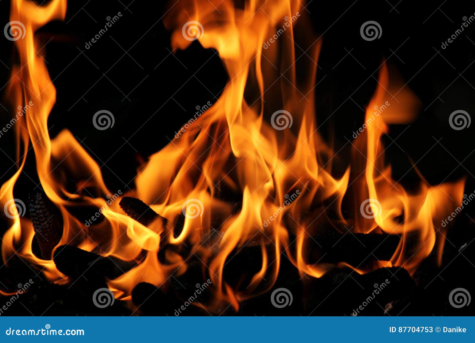 Bright Red and Orange Real Fire Stock Image - Image of closeup, blue ...