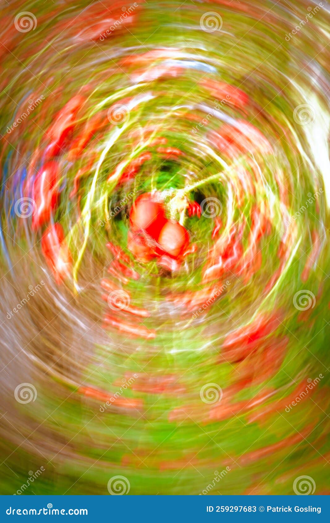 Rose Hips with Vortex Effect. Stock Image - Image of spinning, rose ...