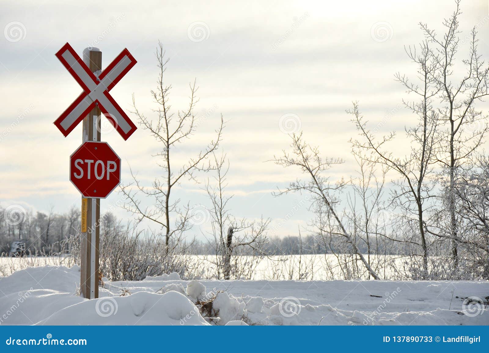 Bright Red Stop Sign stock image. Image of warning, trees - 137890733
