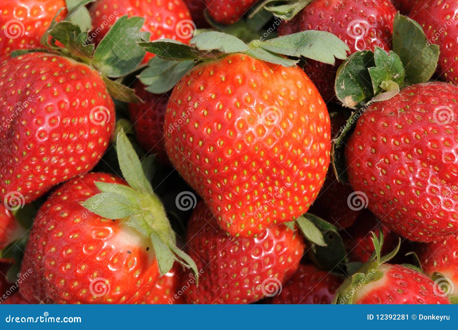 Bright red strawberries stock image. Image of detail - 12392281