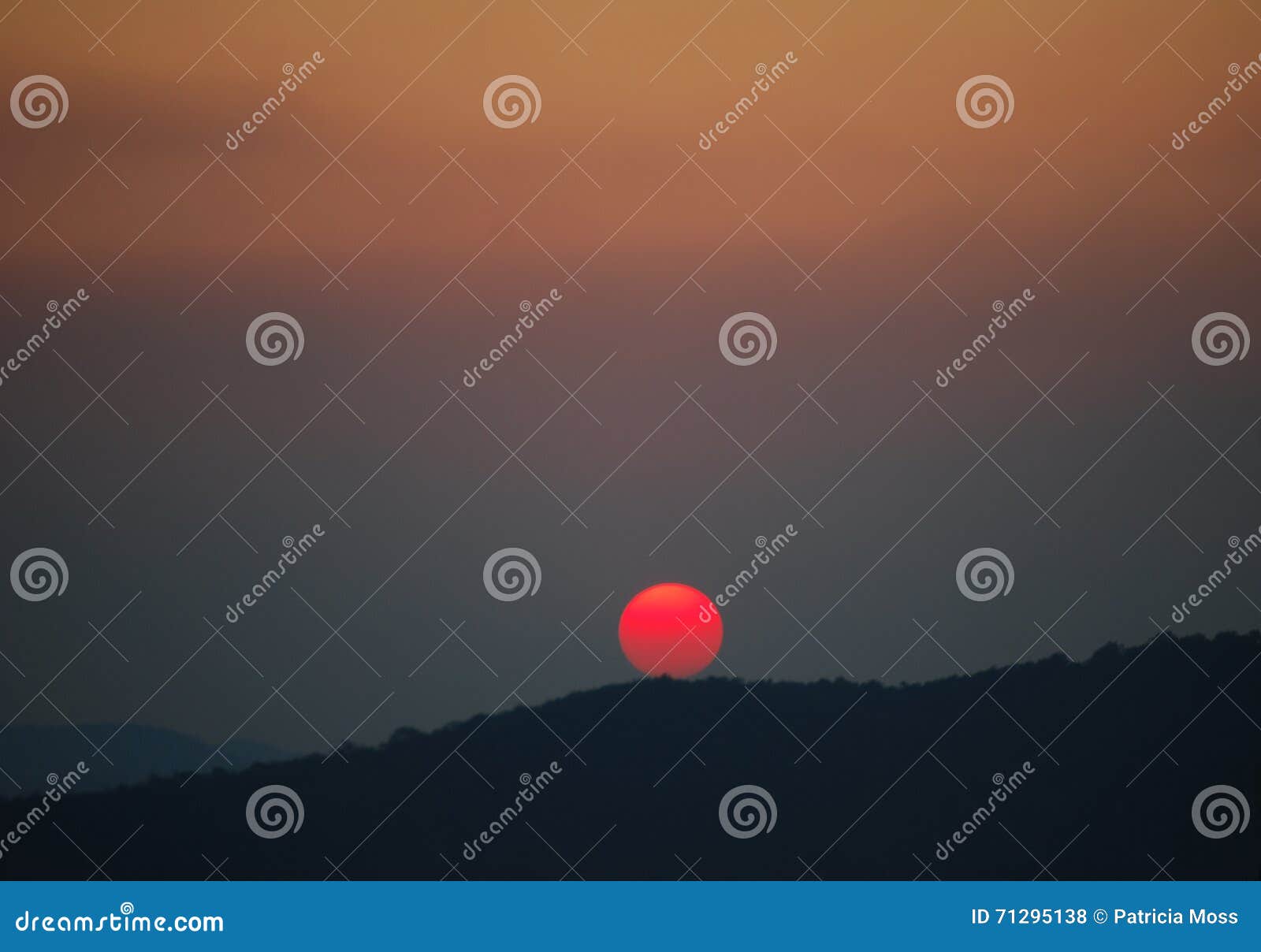 Bright red sun setting stock photo. Image of bright, bushfires - 71295138