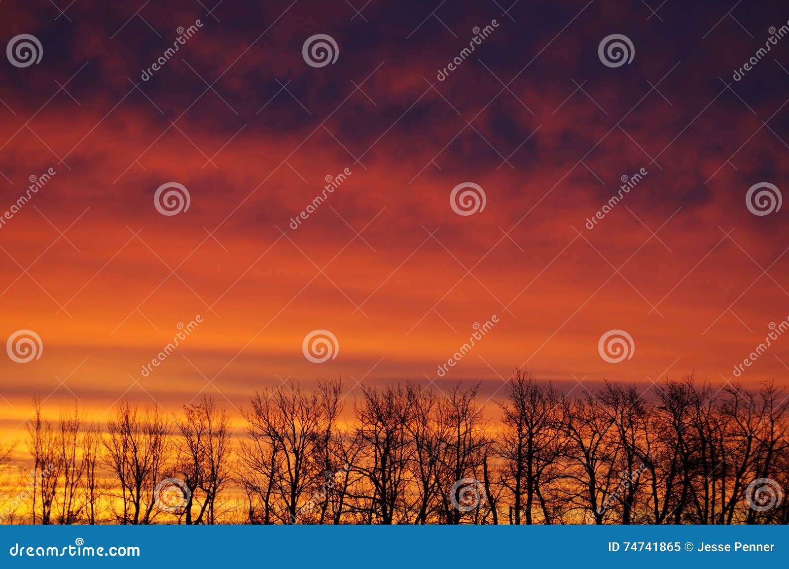 Bright red sunrise stock image. Image of winter, morning - 74741865