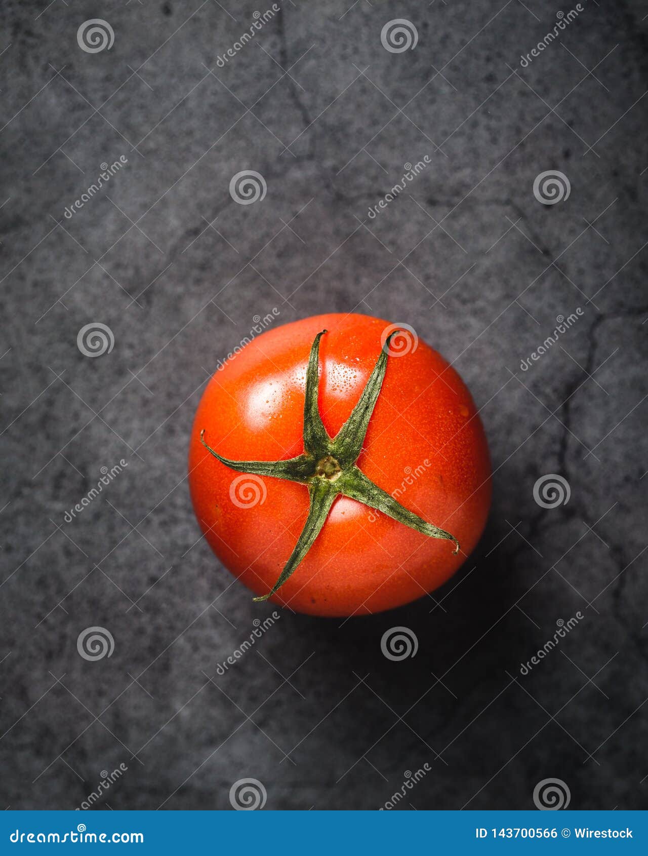 Tomato stock photo. Image of ladybug, healthy, food - 143700566