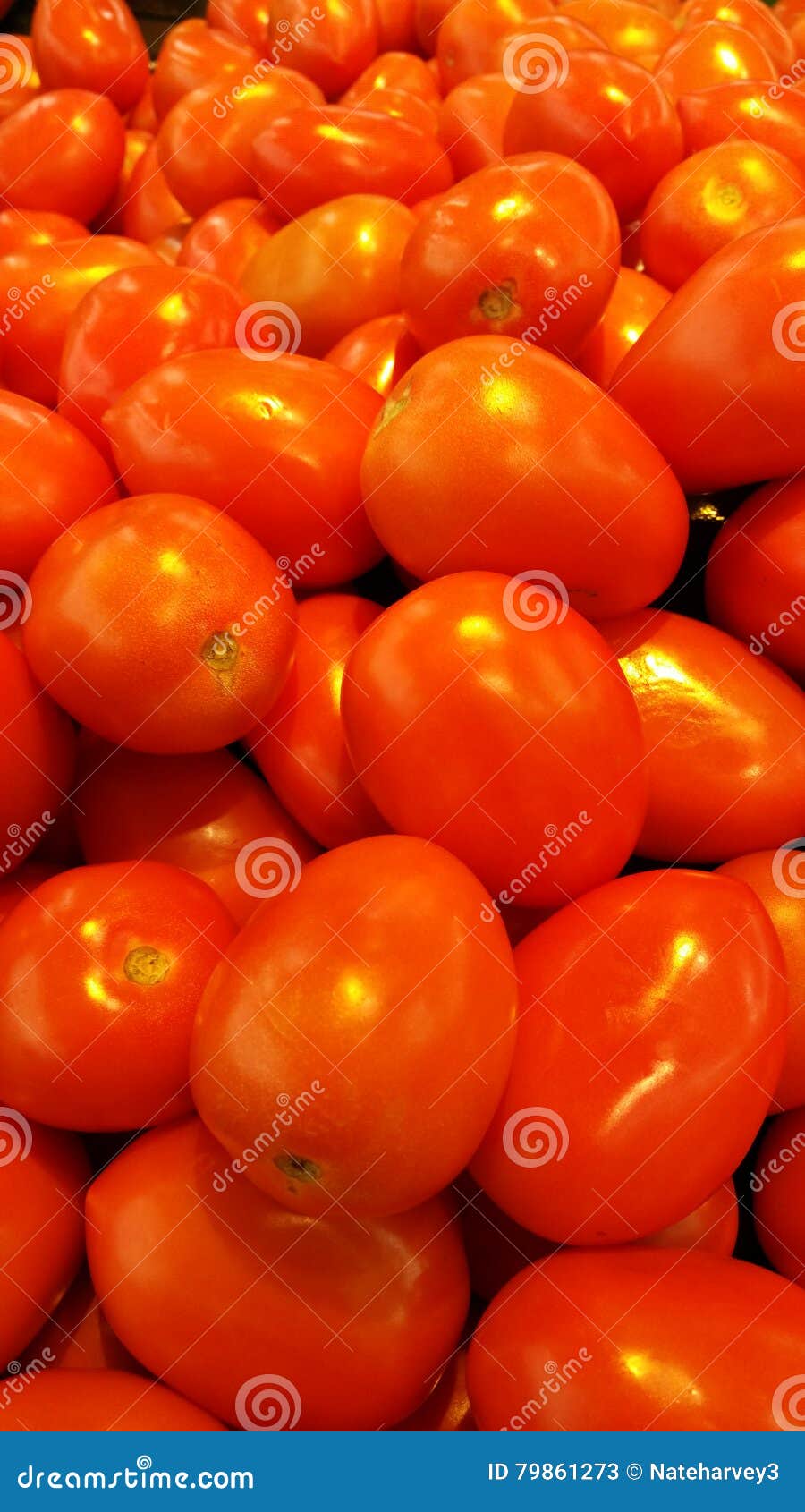 Bright Red Tomatoes stock image. Image of tomatoes, bright - 79861273