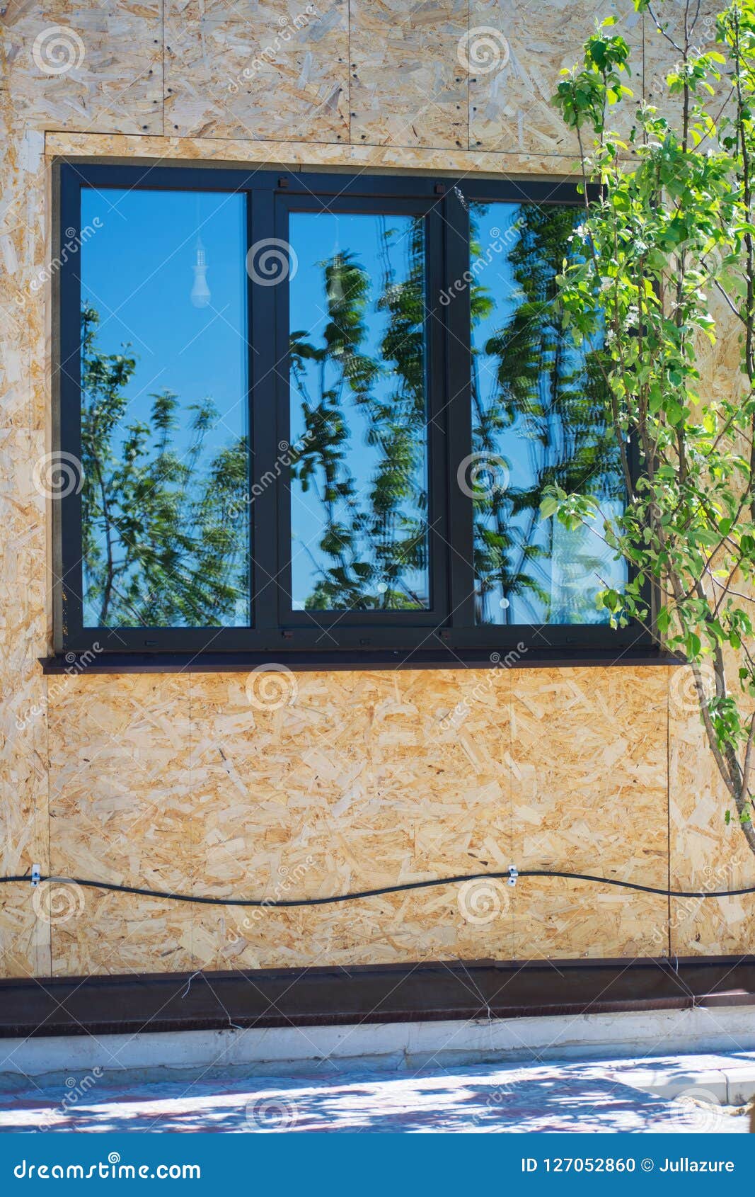 Bright Reflection of Nature, Selective Focus. a Tree Reflection in the ...