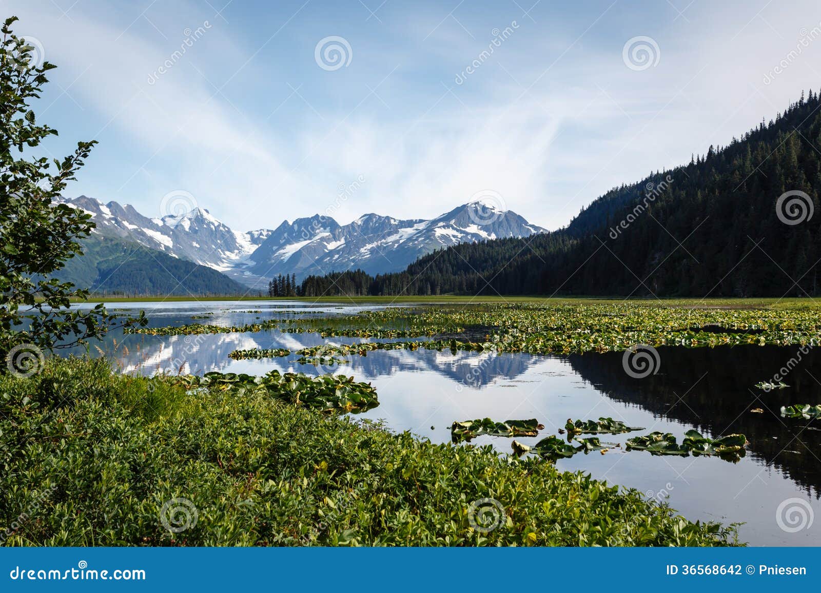 Bright Reflection of Snow Capped Mountains in Alaskan Pond Stock Photo ...