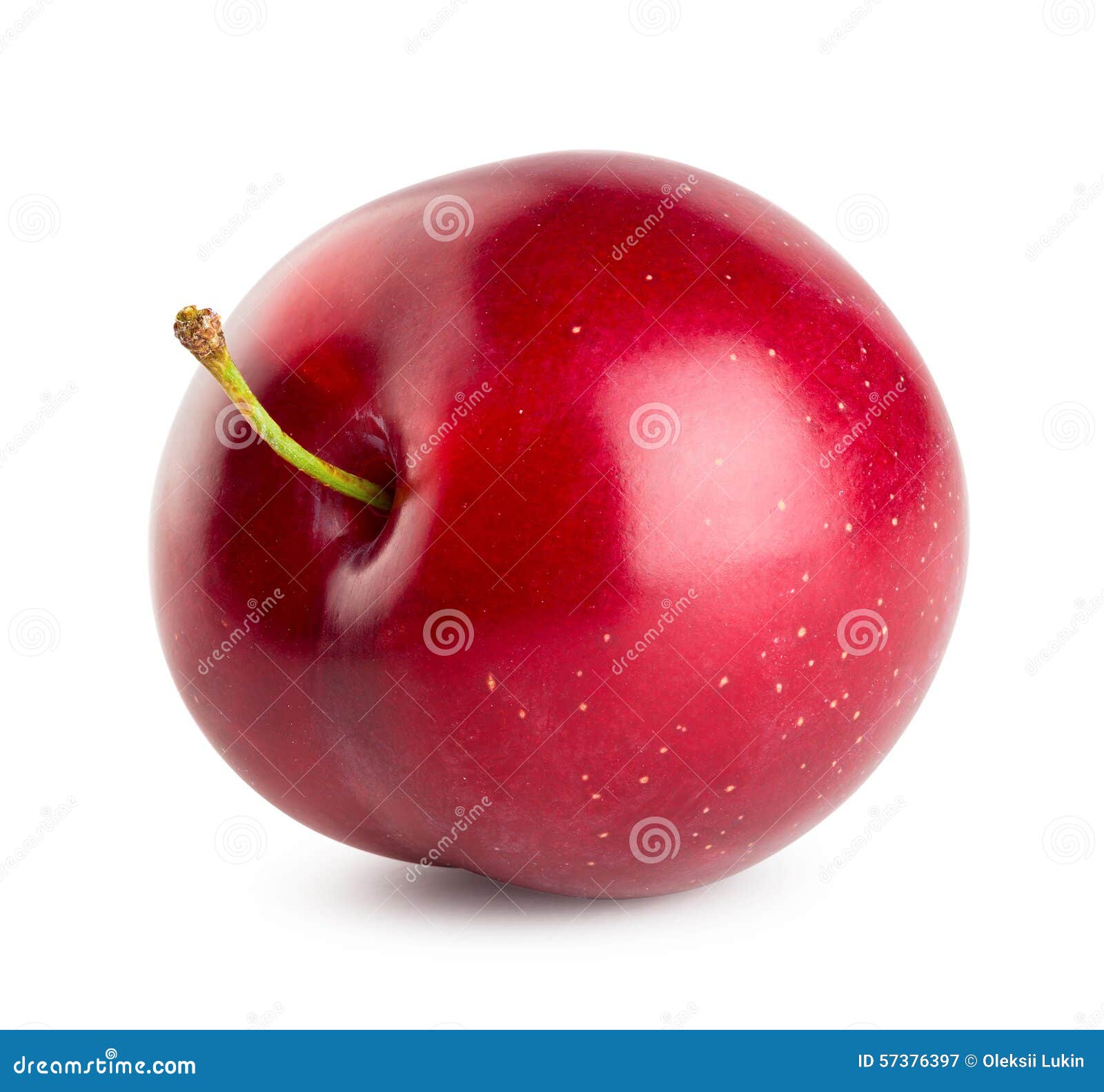 Bright ripe plum stock image. Image of purple, sweet - 57376397