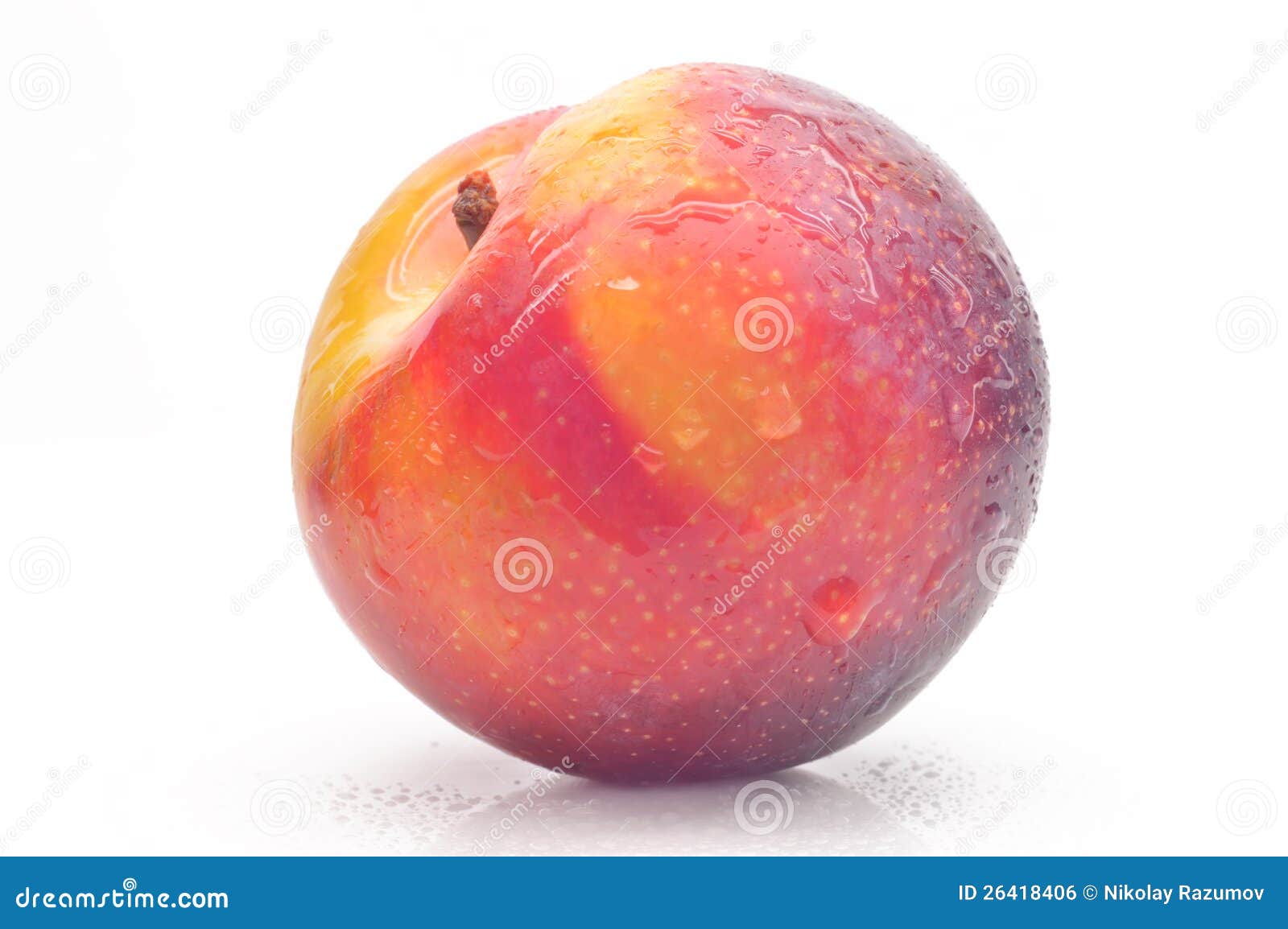 Bright Ripe Plum on a White Background Stock Photo - Image of sweet ...