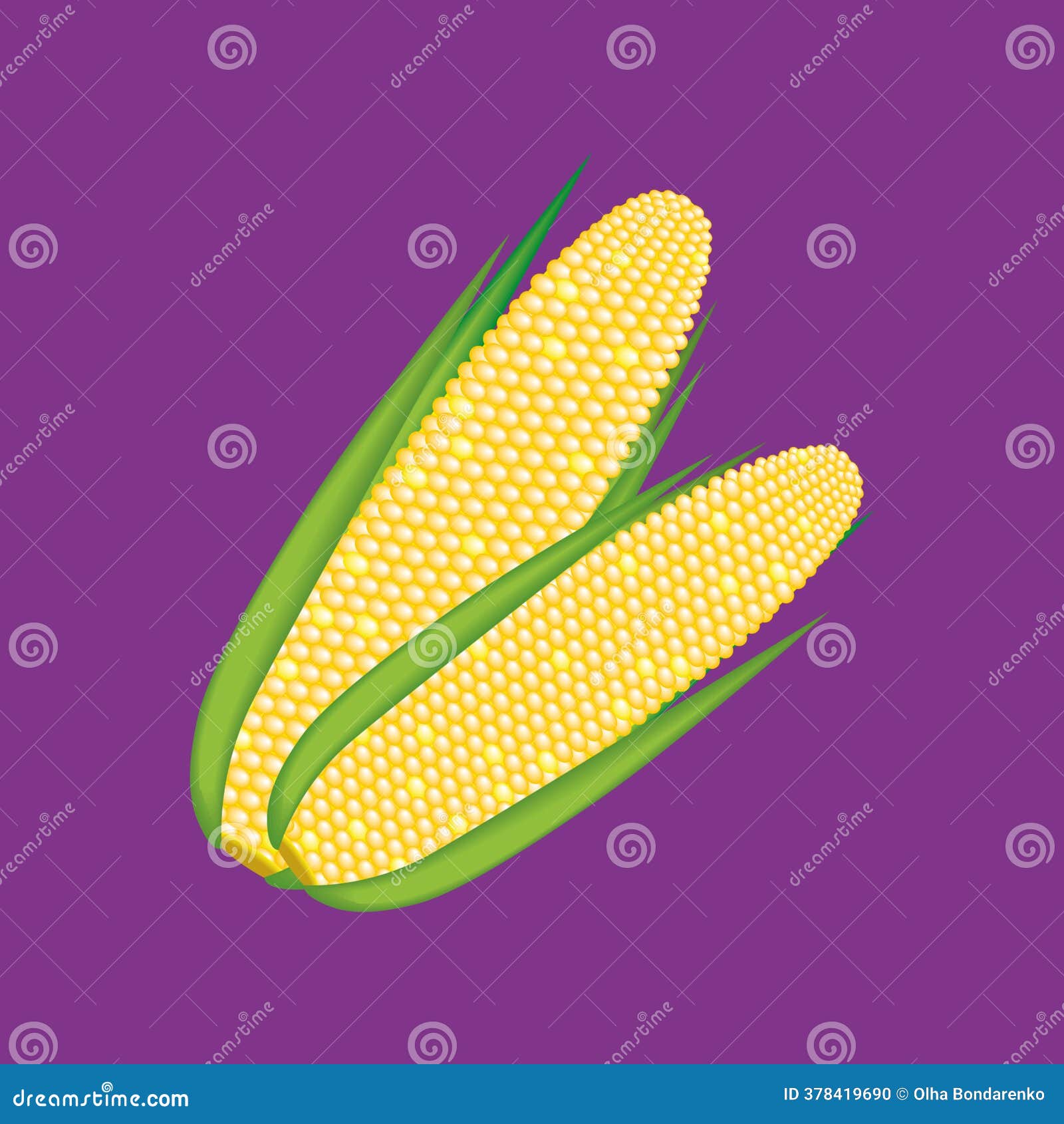 Yellow Corn On The Cobs, Male Inflorescence And Leaves Isolated On ...