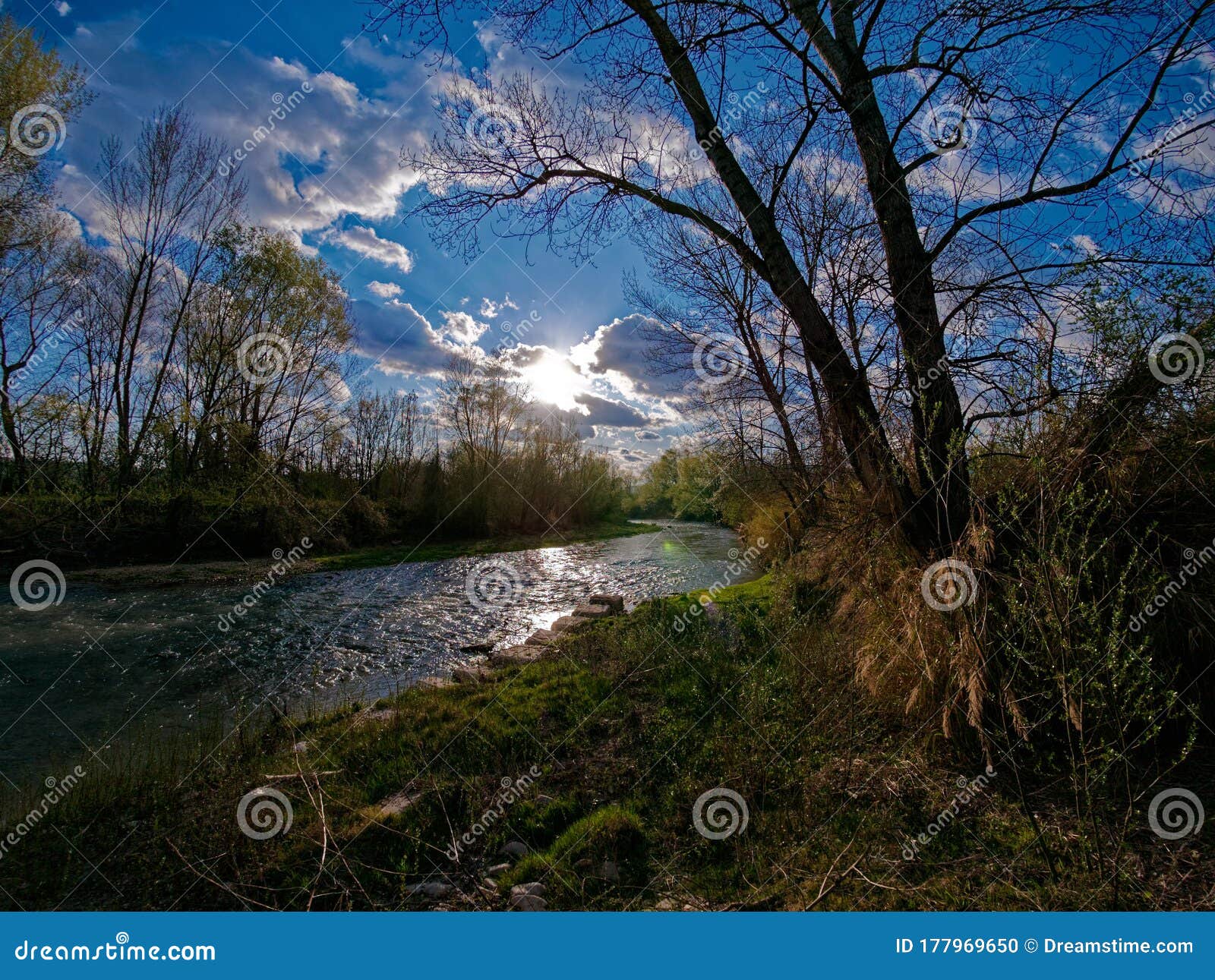 The bright river stock photo. Image of grass, blue, bright - 177969650