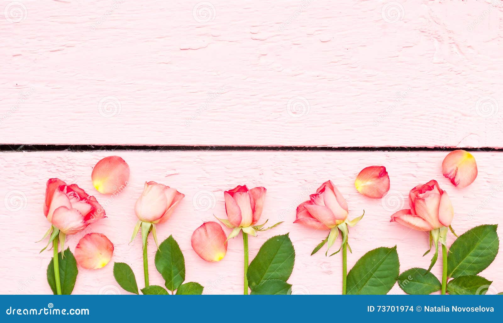 Bright Roses On Pink Wood Background Stock Photography | CartoonDealer ...