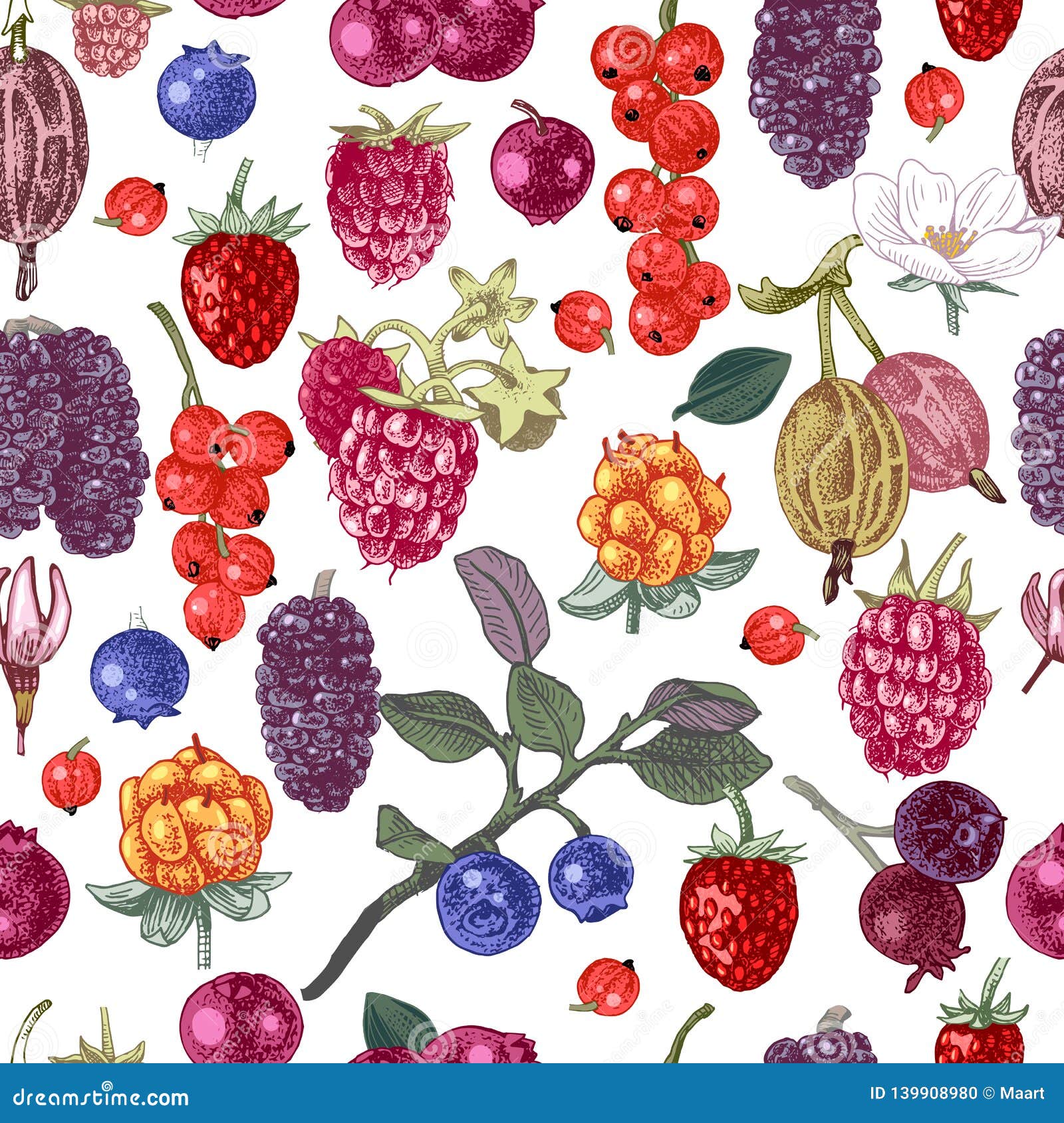 Seamless Pattern with Hand Drawn Berries Stock Vector - Illustration of ...