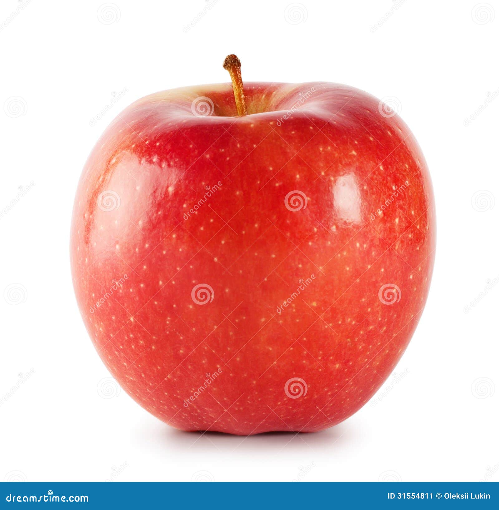 Bright shiny red apple stock image. Image of white, background - 31554811