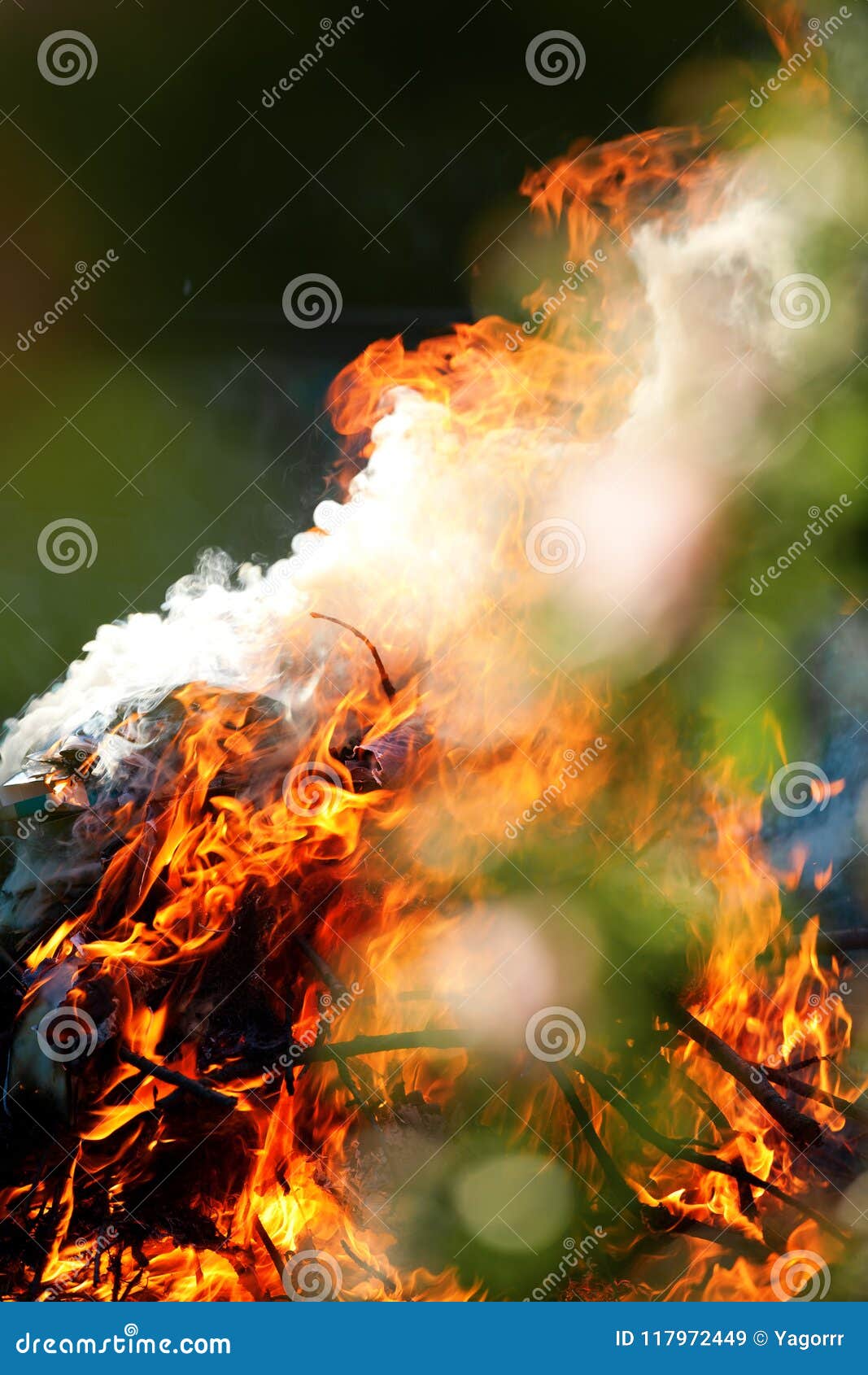 Bright Fire in the Rays of Sunlight Stock Image - Image of heat, fire ...