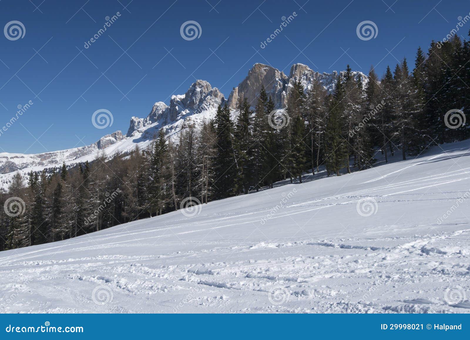 Snowy Meadows Under Rotewand, Costalunga Pass Stock Image - Image of ...