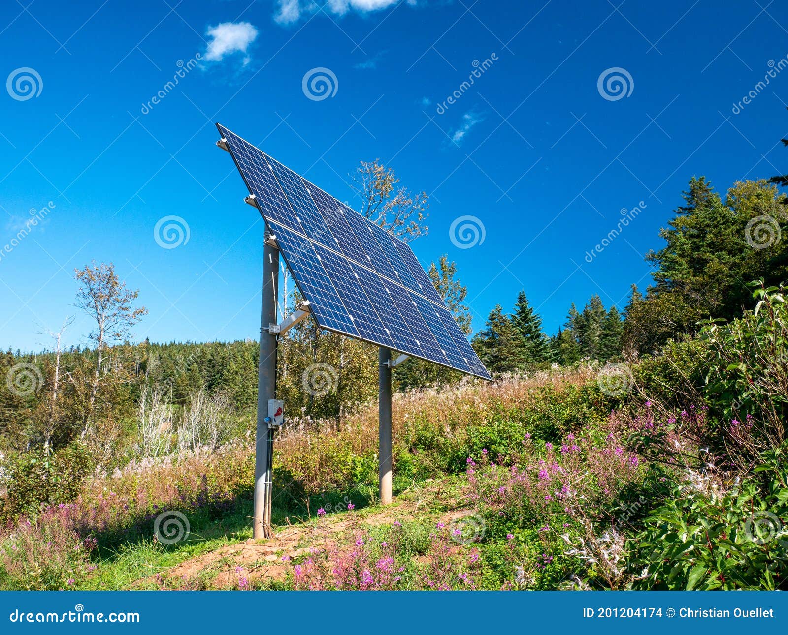 Bright Solar Panels in the Nature Stock Photo - Image of nature ...