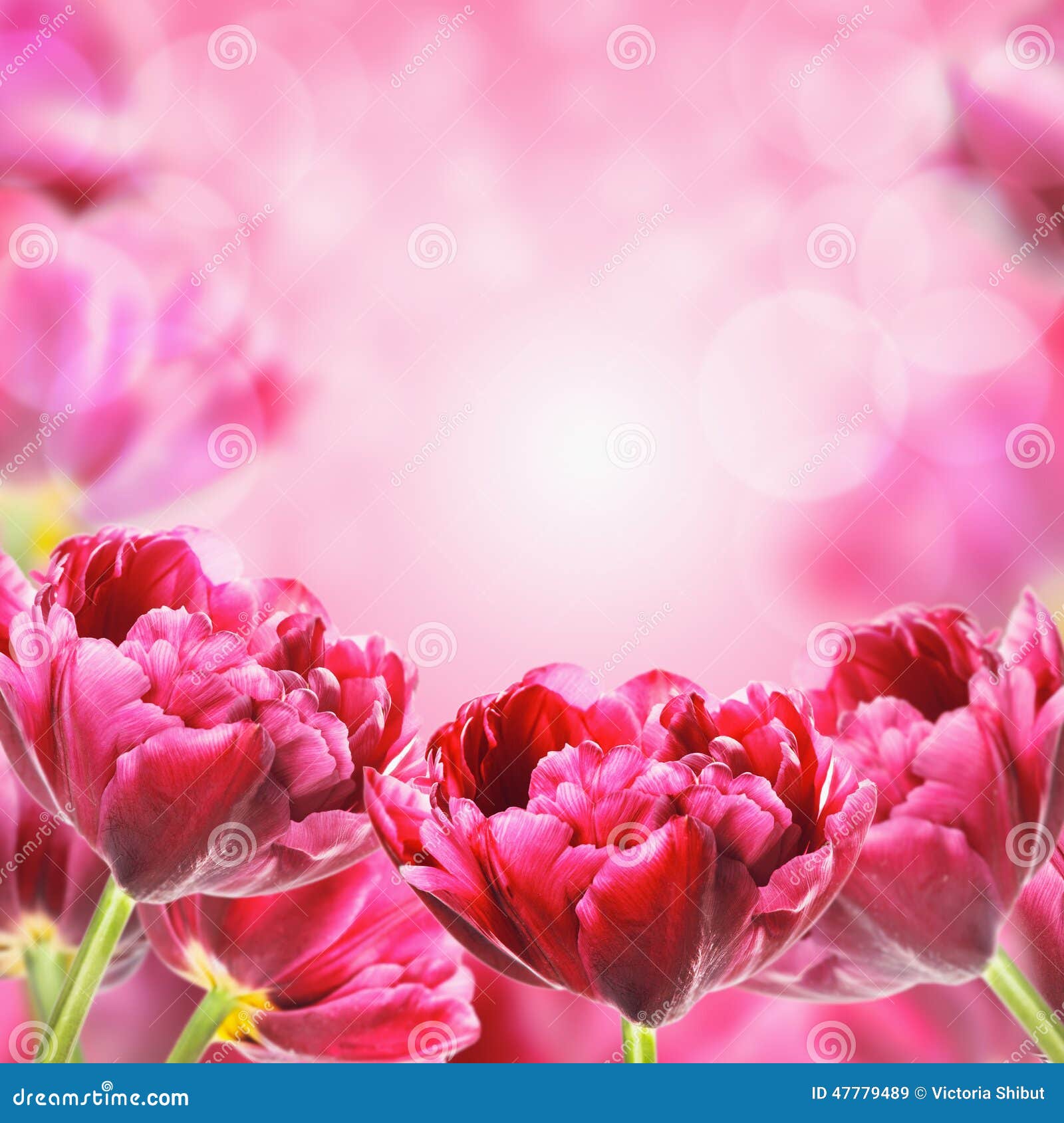 Bright Spring Flowers Background