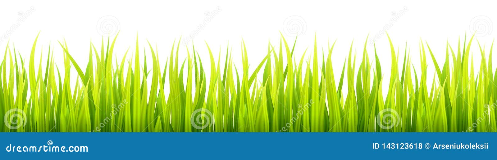 Bright Springtime Lawn Banner. Stock Vector - Illustration of ...