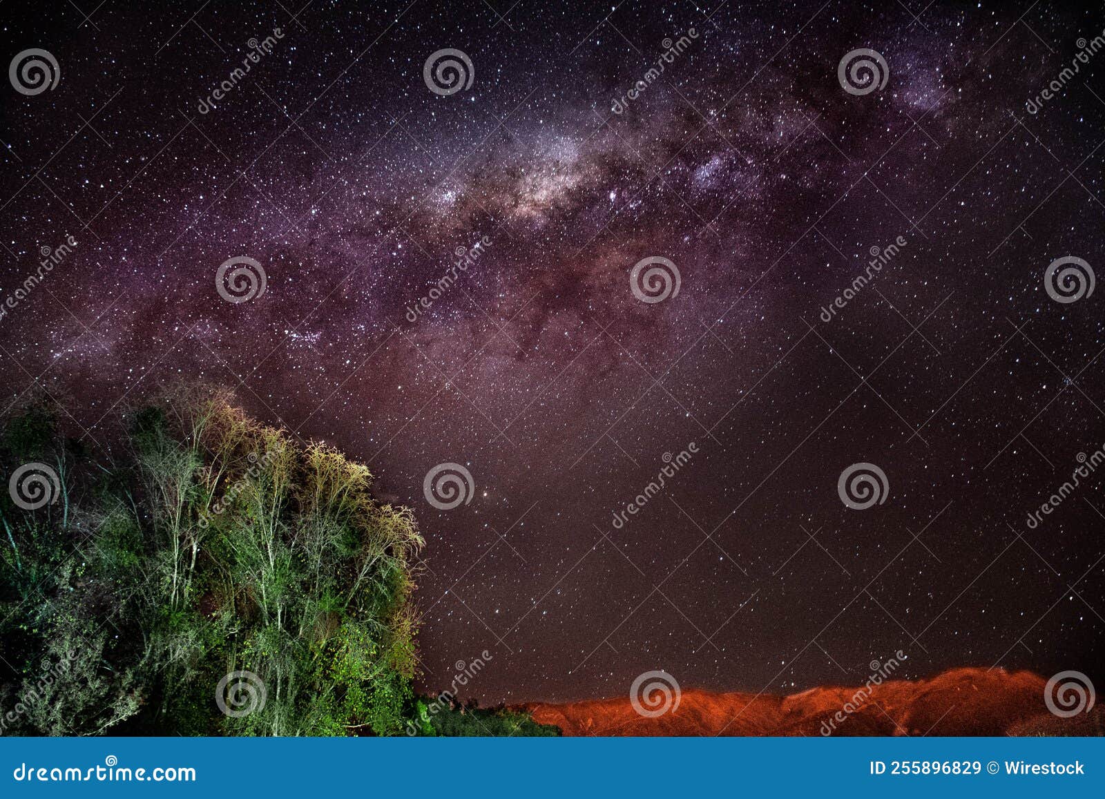 Bright Starry Night on the Sky Stock Image - Image of starry, dark ...