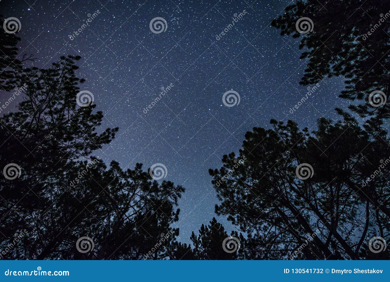 The Bright Starry Sky in the Night Forest Stock Photo - Image of long ...