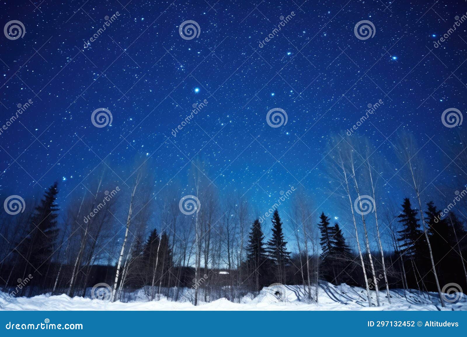 Bright Stars Dotting the Clear, Winter Night Sky Stock Photo - Image of ...