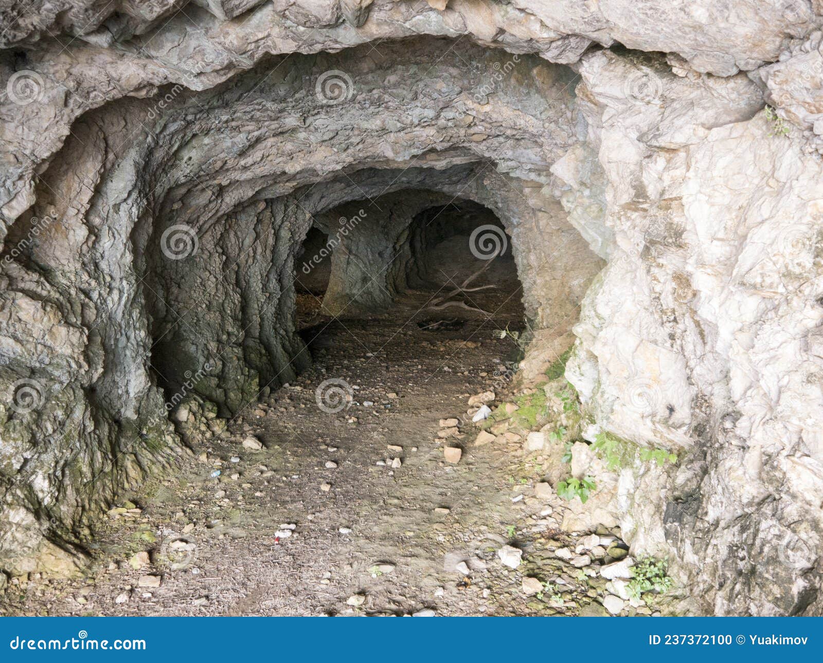 Cave Column From Lehman Cave Stock Image | CartoonDealer.com #15019501
