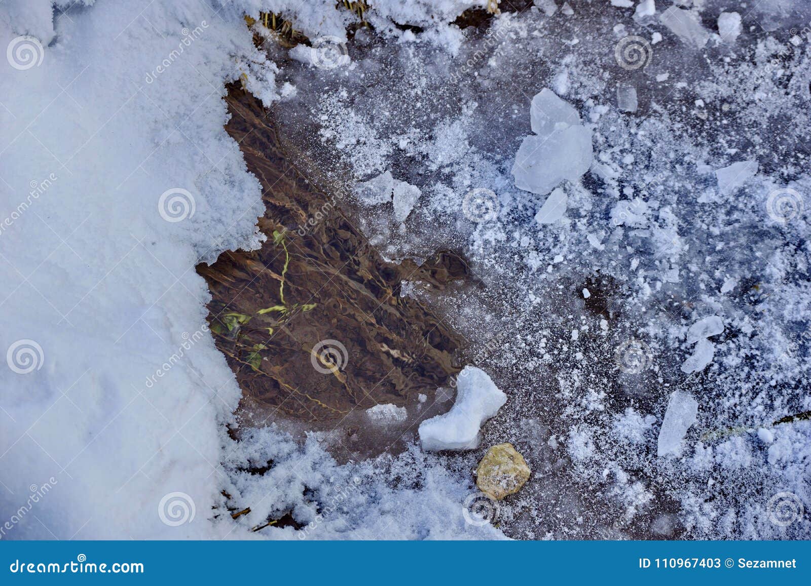 Bright Stream in the Winter. Ice Snow Water Flows the Stones Algae ...