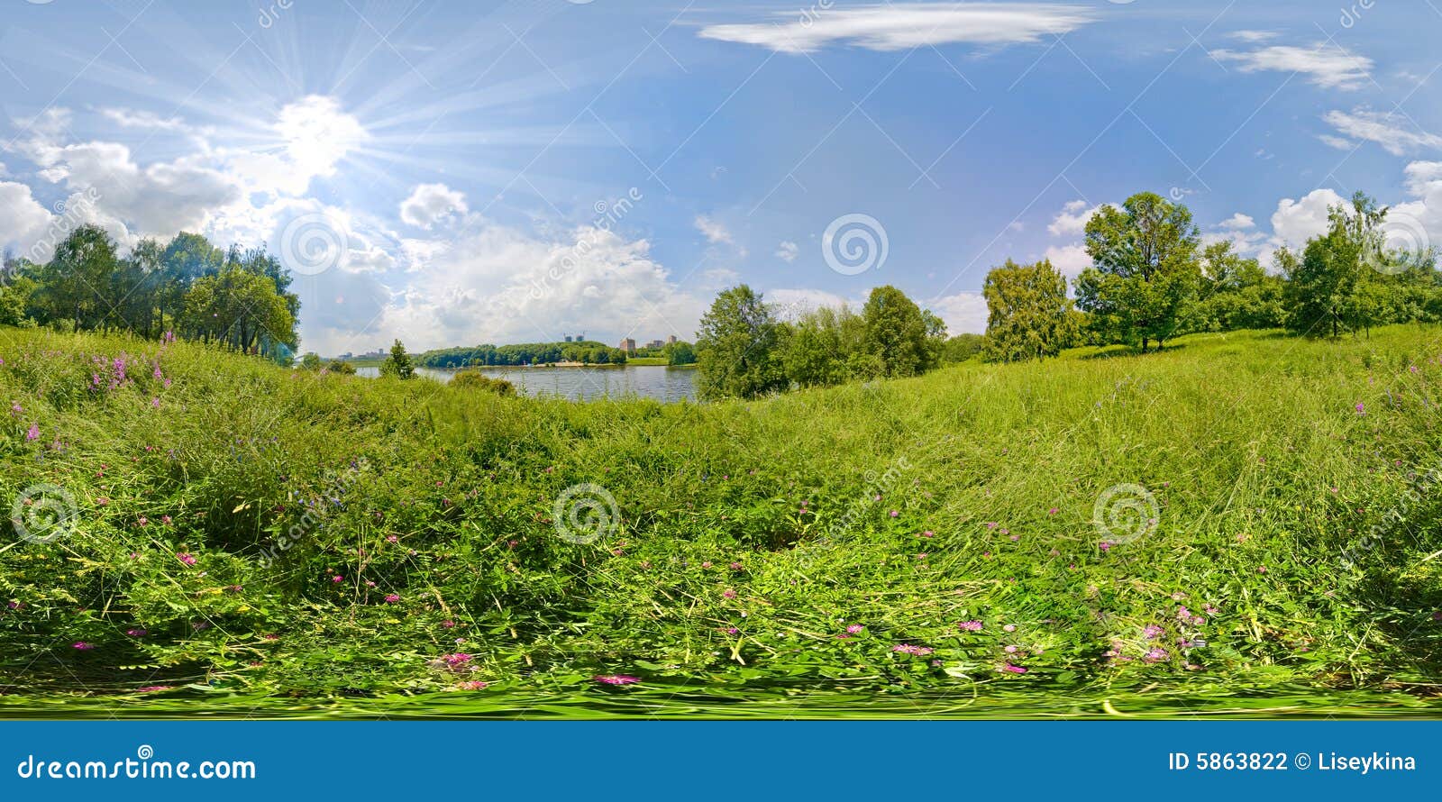 Bright summer stock photo. Image of herb, lawn, blue, nature - 5863822