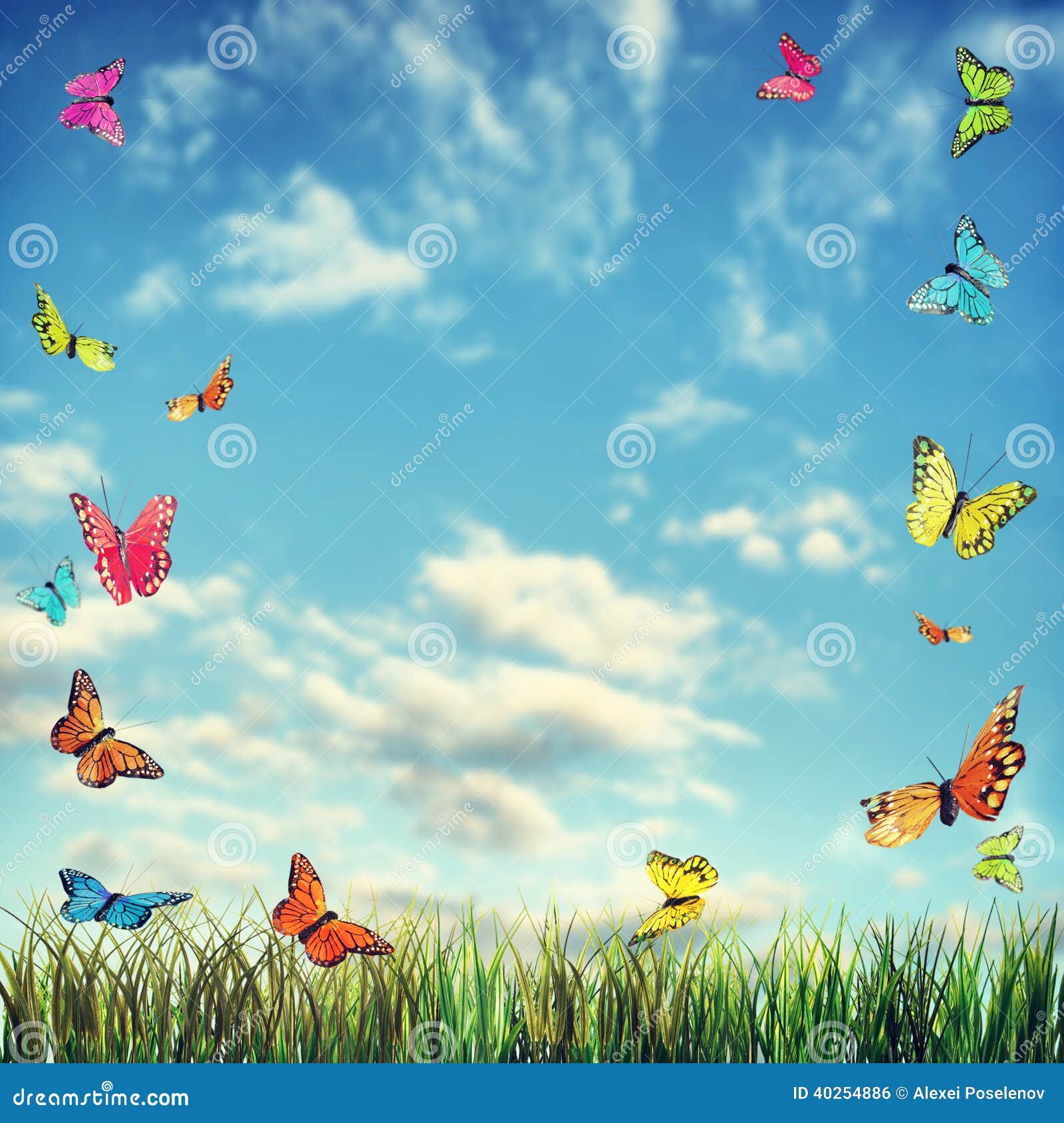 Bright Summer Background with Butterflies and Grass Stock Photo - Image ...