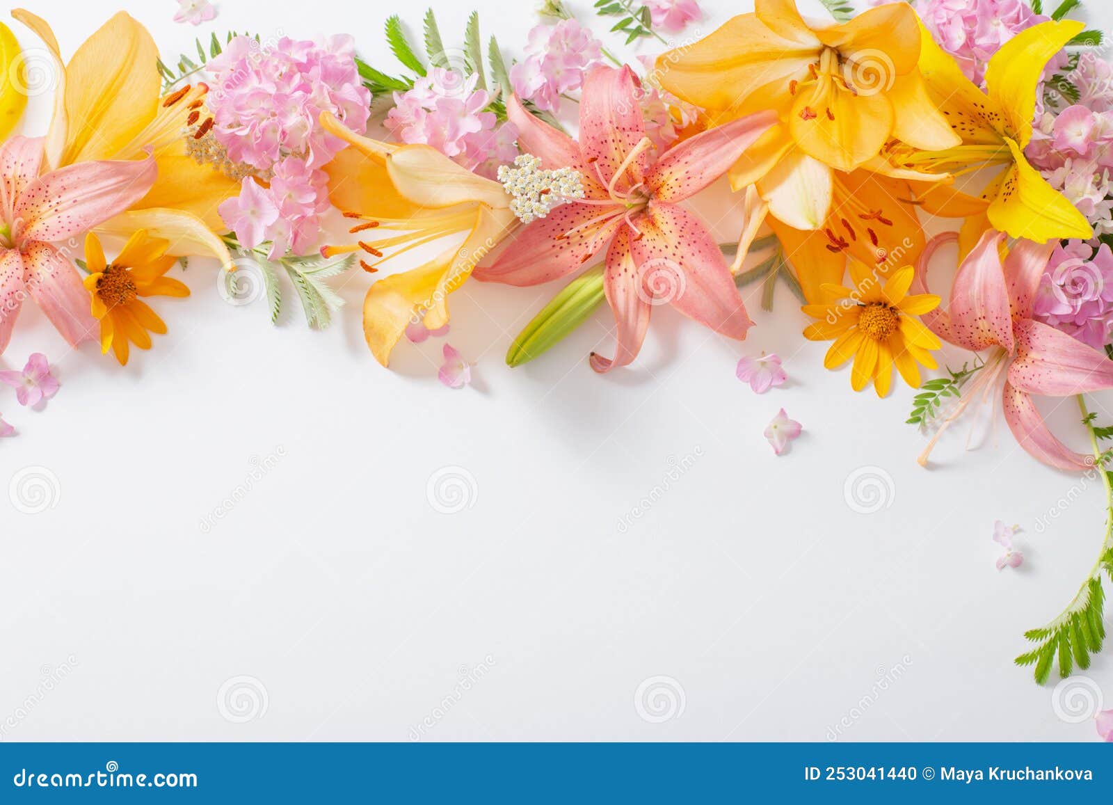 Summer Flowers on White Background Stock Photo - Image of bunch, green ...