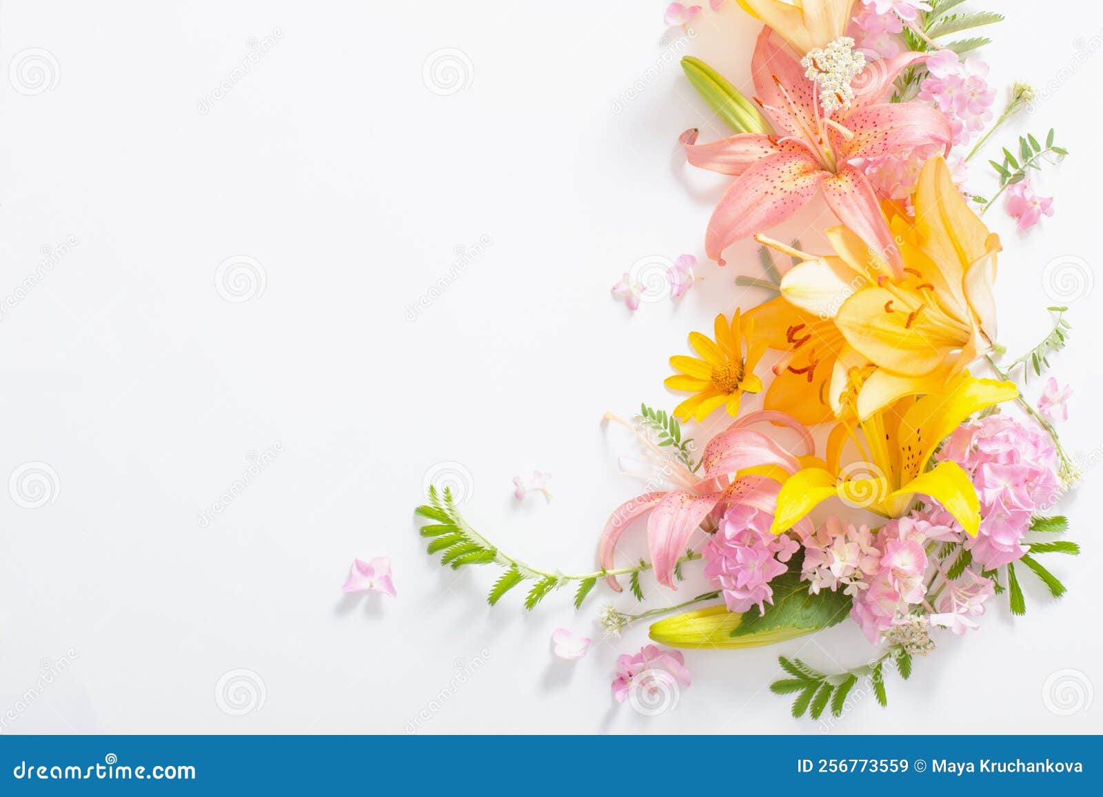 Summer Flowers on White Background Stock Image - Image of beautiful ...
