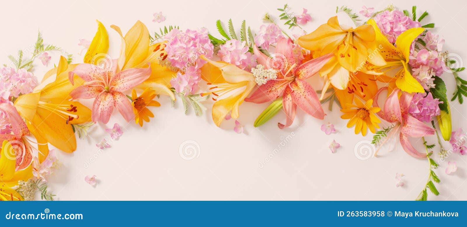 Summer Flowers on White Background Stock Photo - Image of bloom ...