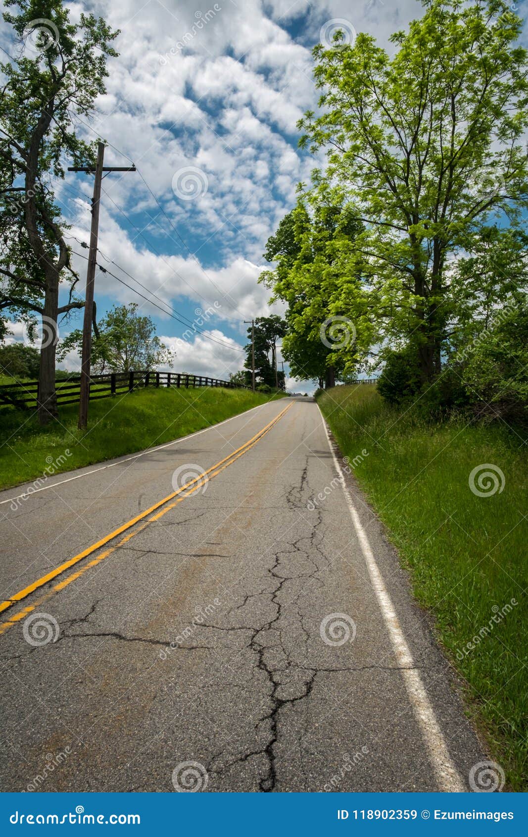 Bright Summer Road stock image. Image of maple, driving - 118902359