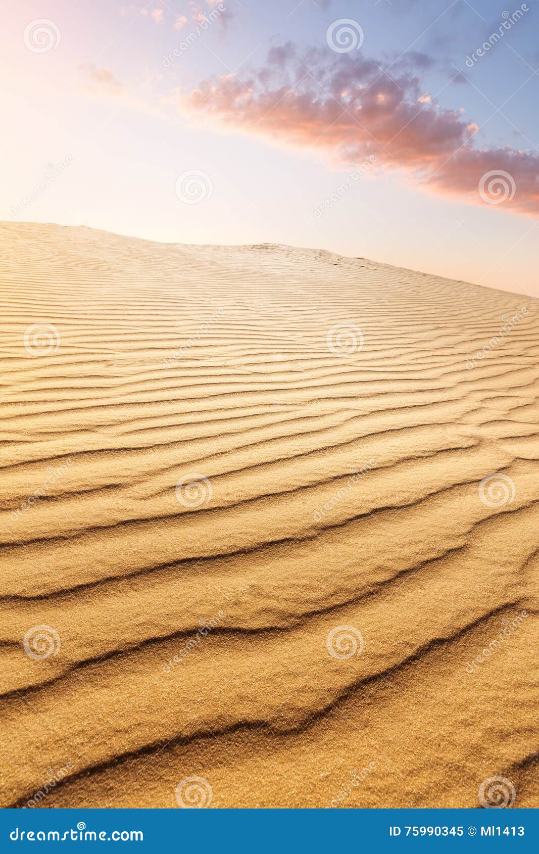 Bright summer sand dune stock image. Image of environment - 75990345