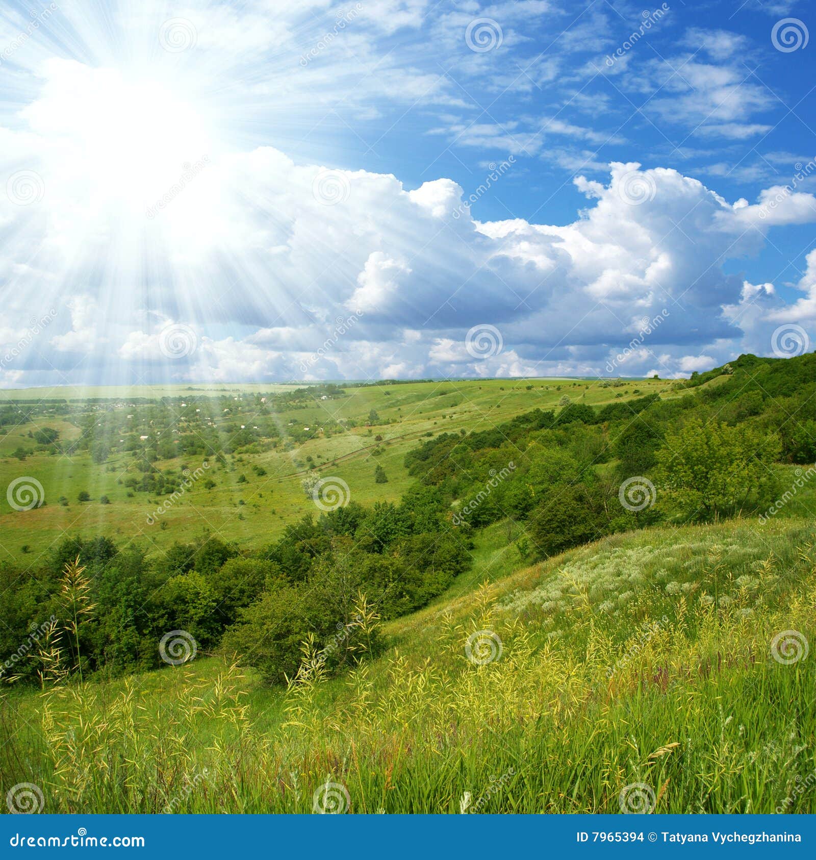Bright summers day stock photo. Image of horizon, pasture - 7965394