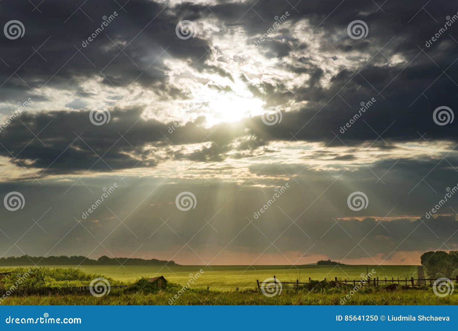 The Bright Sun Lights a Rural Landscape Stock Photo - Image of colors ...