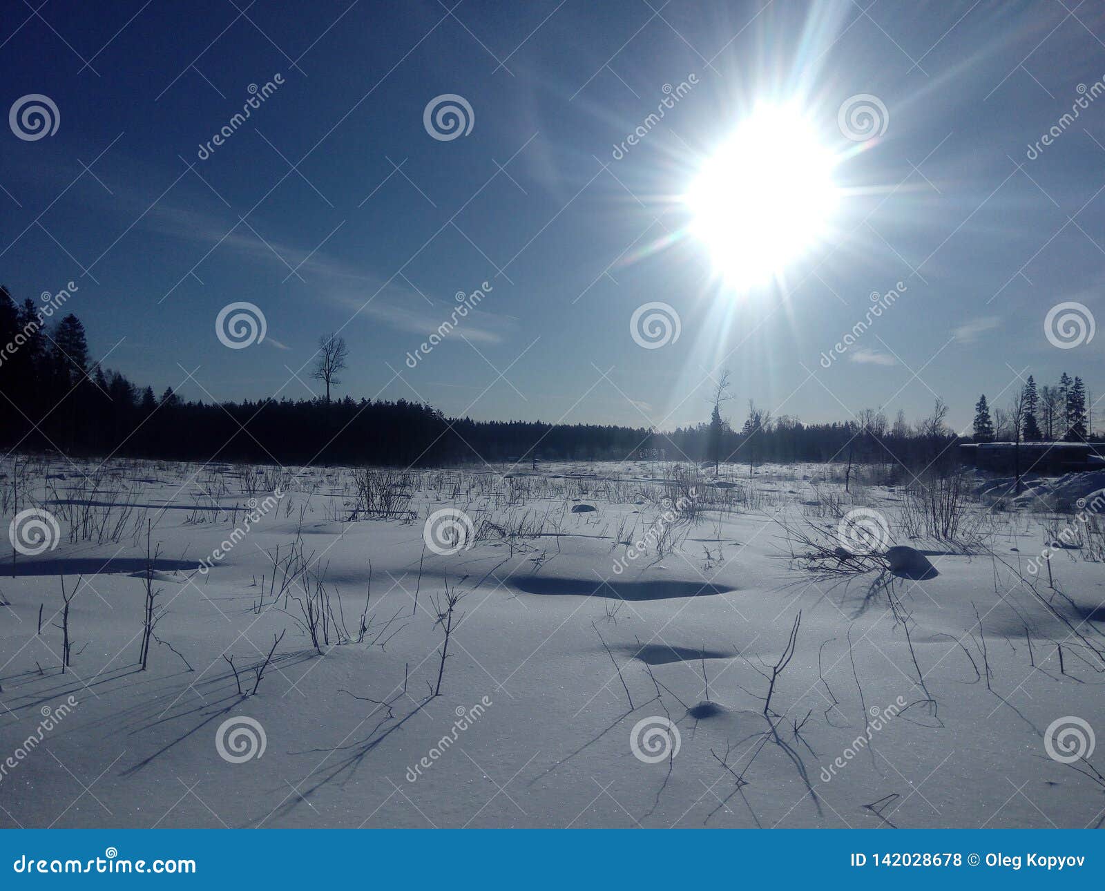 Bright Sun. Sun Set Dawn Sun Unusual Rays from the Sun Stock Photo ...