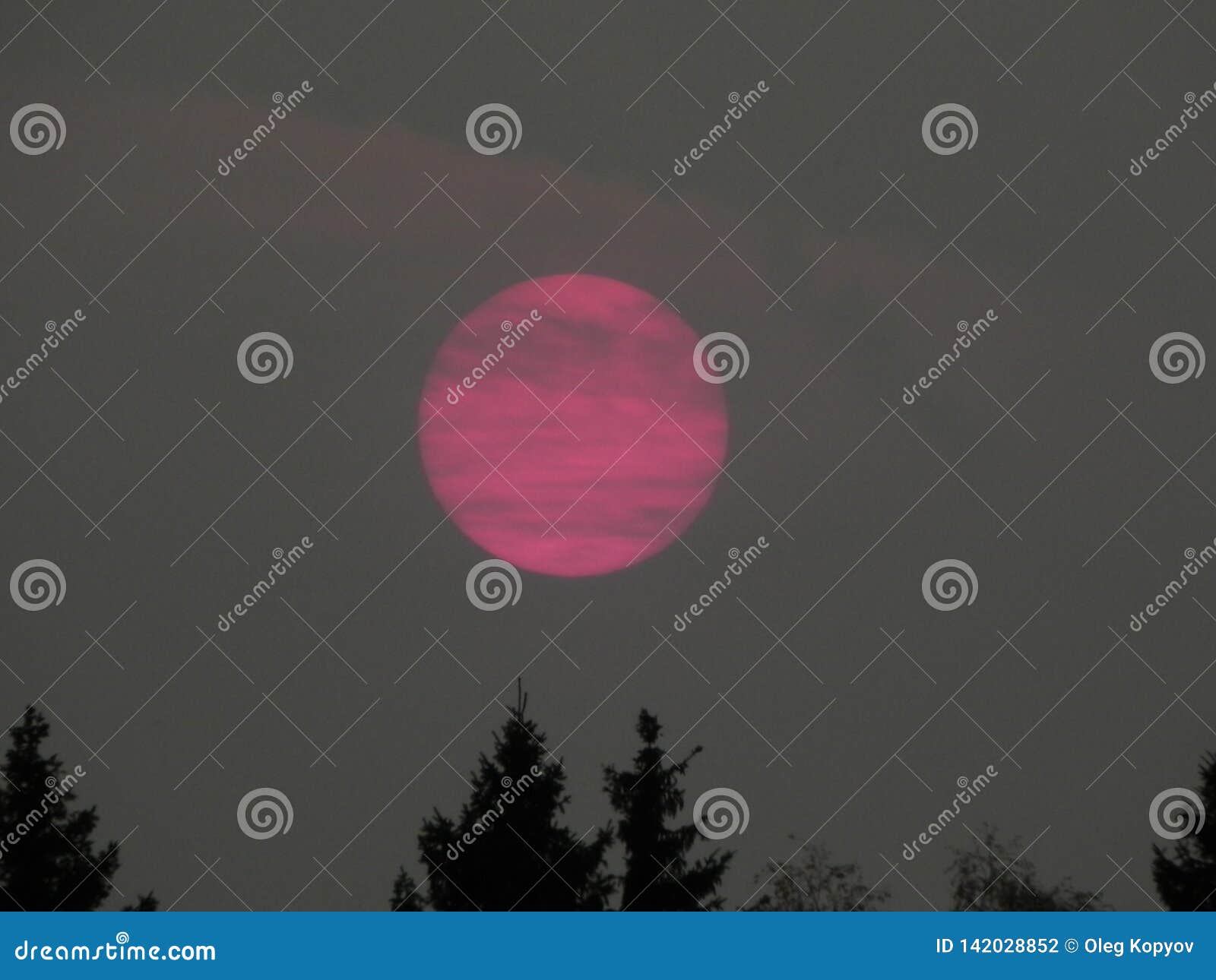 Bright Sun. Sun Set Dawn Sun Unusual Rays from the Sun Stock Photo ...