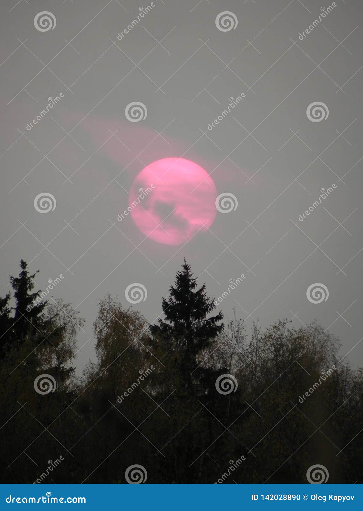 Bright Sun. Sun Set Dawn Sun Unusual Rays from the Sun Stock Photo ...