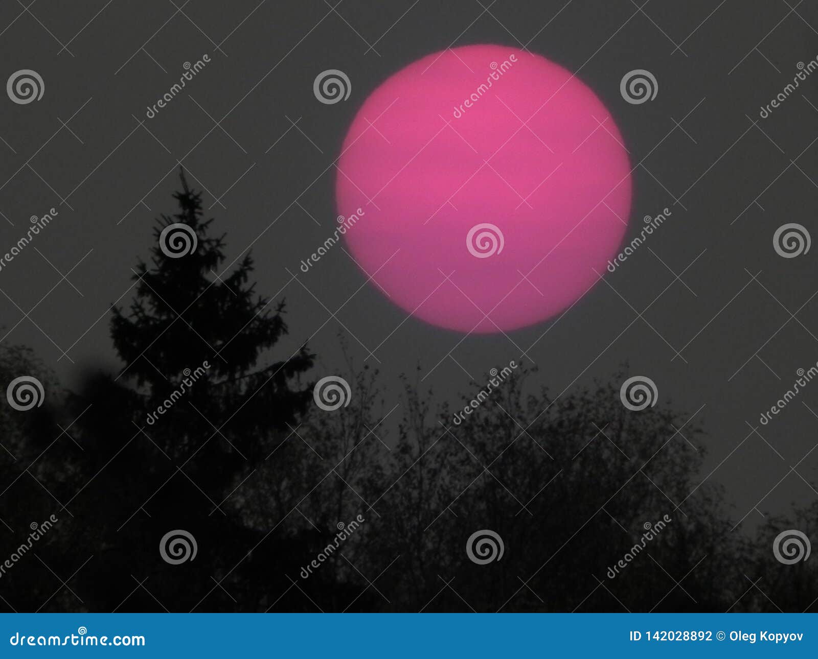 Bright Sun. Sun Set Dawn Sun Unusual Rays from the Sun Stock Photo ...