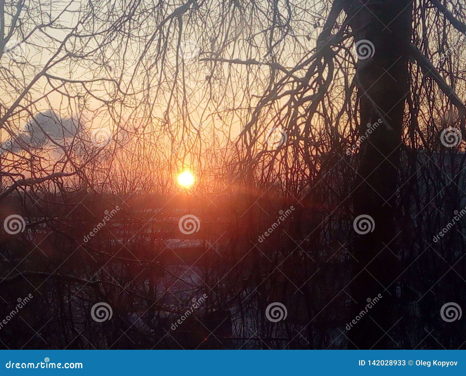 Bright Sun. Sun Set Dawn Sun Unusual Rays from the Sun Stock Image ...