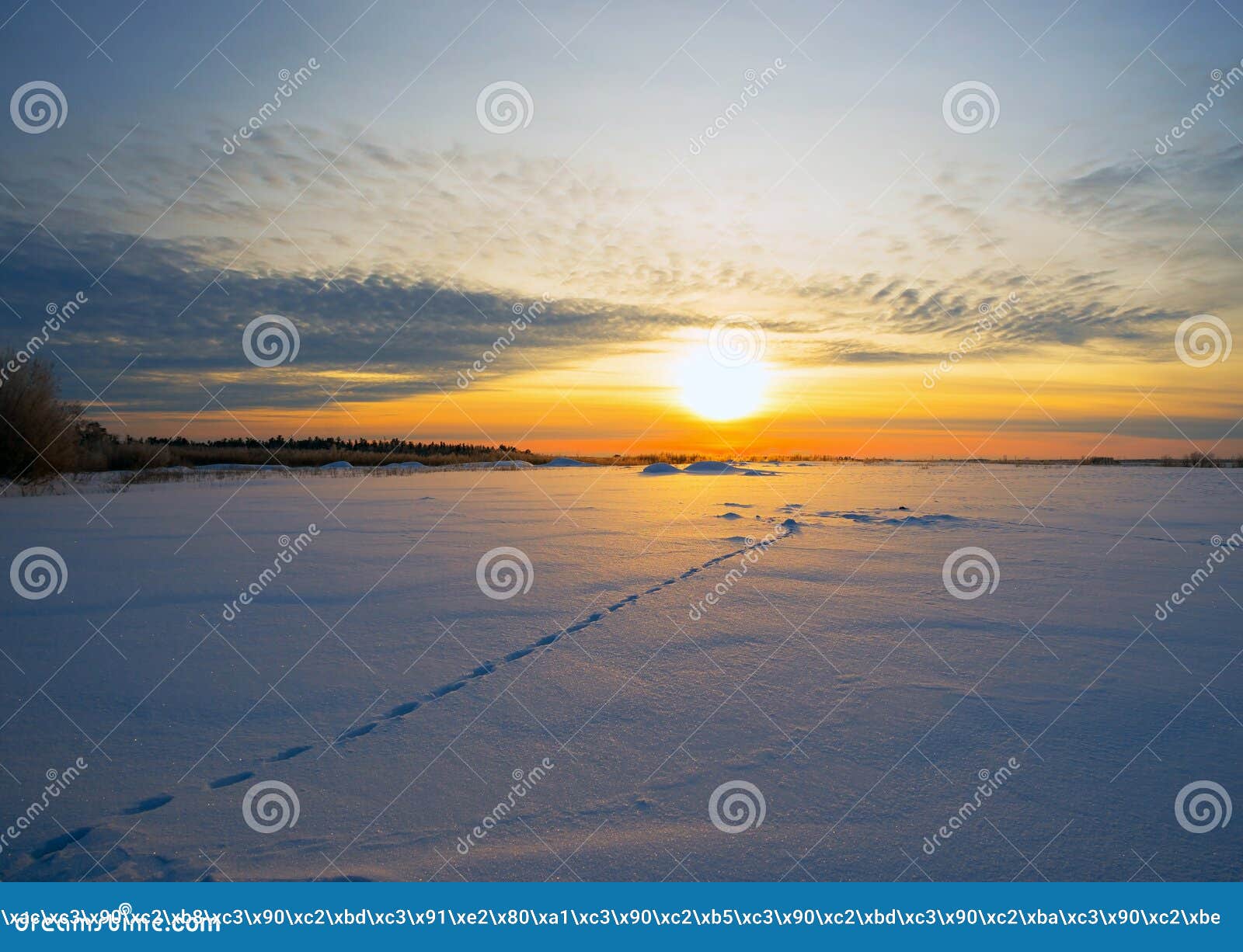 Bright Sun at Sunset Winter with the Road and Footprints in Snow. Stock ...