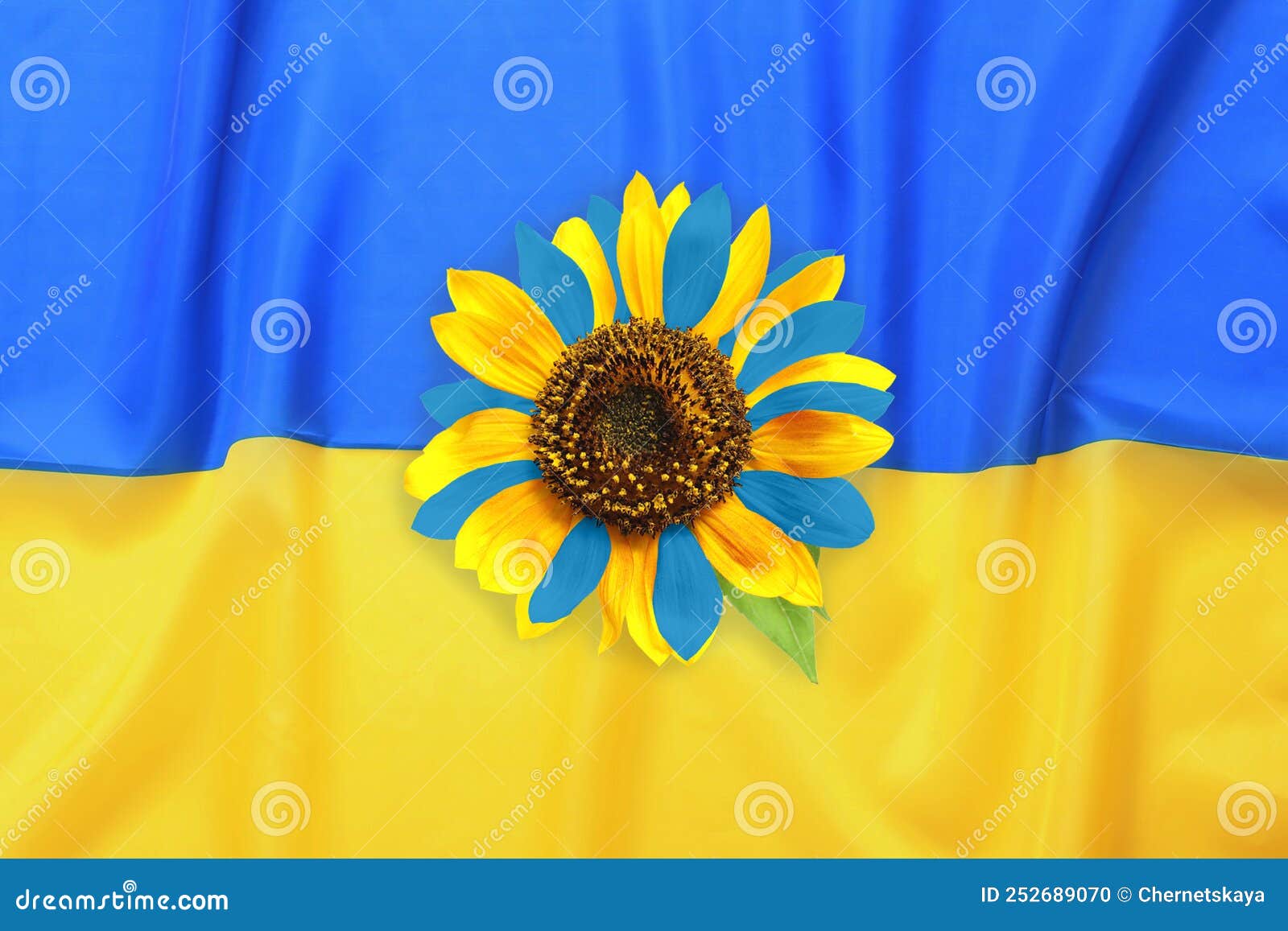 Bright Sunflower and Ukrainian National Flag on Background Stock Photo ...