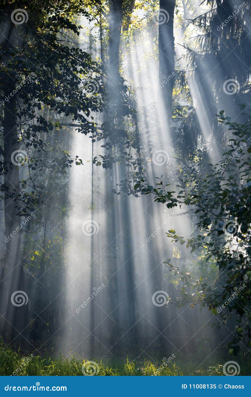 Bright sunlight stock image. Image of crown, beams, light - 11008135