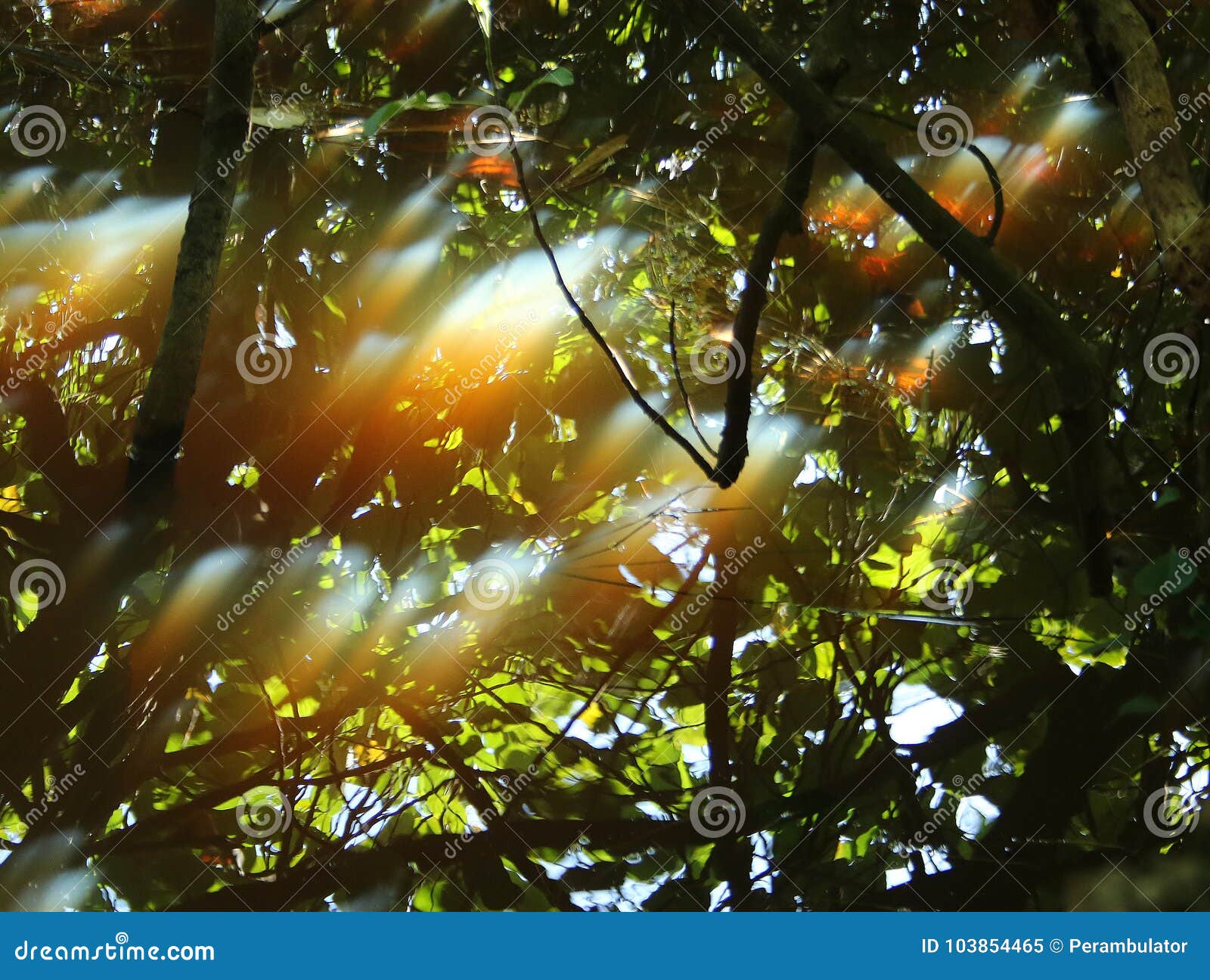 SUNLIGHT REFLECTED on WATER Stock Image - Image of sunlight, spots ...