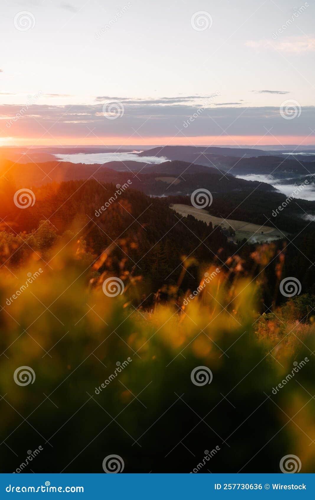 Bright Sunlight on the Green Hillside in the Highlands at Sunset in a ...